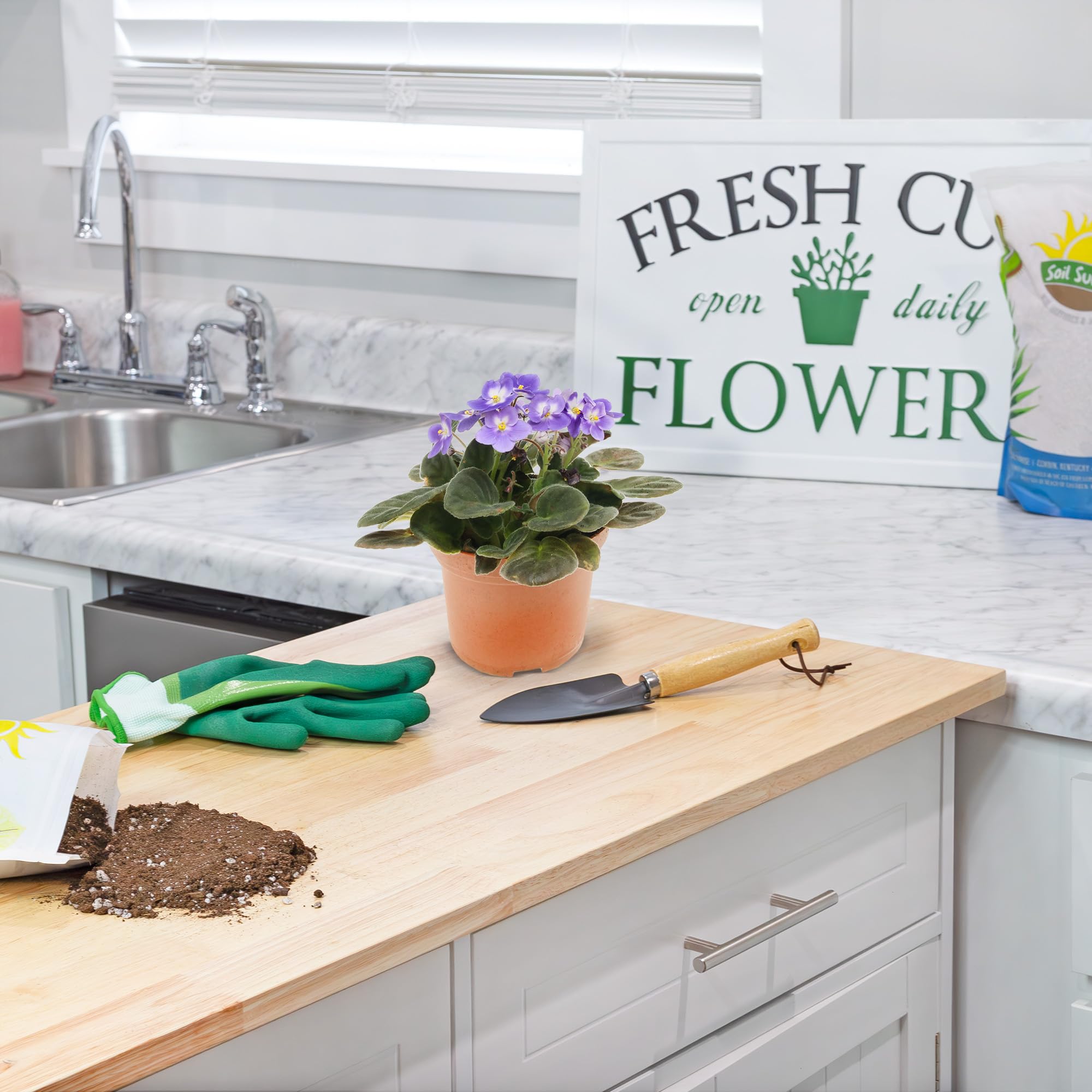 African Violet Potting Soil Mix (2 Quarts), Custom Hand Blended Soil Additive for Indoor Plants