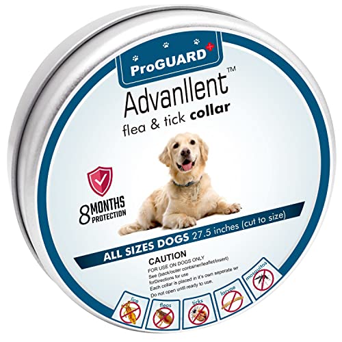 Advanllent Flea Collar for Dogs, 8 Month Flea and Tick Prevention for Dogs, 27 Inch Adjustable