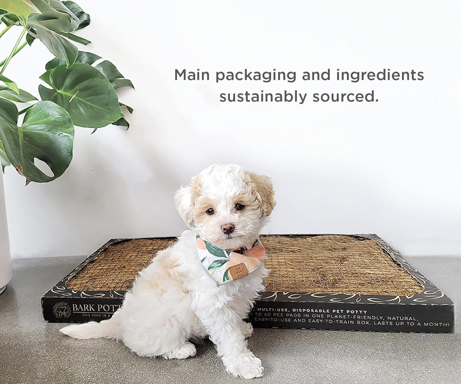 Puppy Bark Potty Disposable Dog Potty - Multi-Use, Odor Neutralizing, Non-Leaking - Replaces Traditional Pee Pads - Indoor/Outdoor