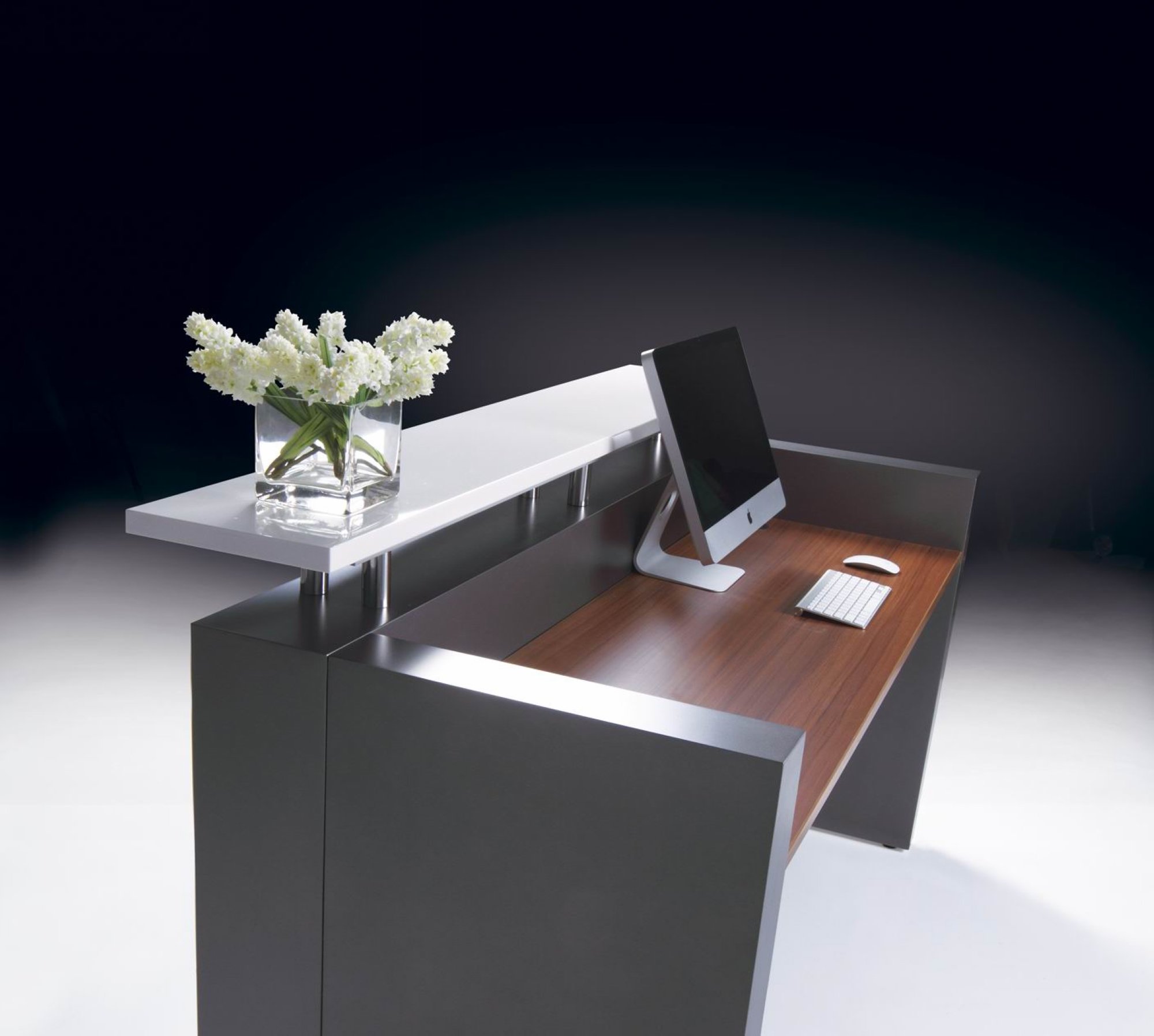 GW FURNITURE Modern Space Grey Reception Desk(63") with Quartz Stone Counter TOP