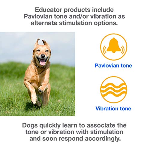 Educator E-Collar Humane Dog Training Collar with Remote, Features 100 Levels of Safe Stimulation, Tapping Sensation, Night Light, Waterproof, Rechargeable, 1/2 Mile 1 Dog, Yellow