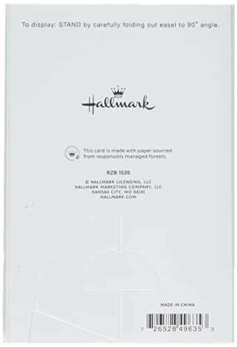 Hallmark Birthday Card for Husband (Hangable or Displayable Decoration, Little Things)