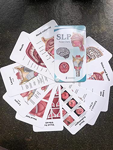 SLP Pocket Charts