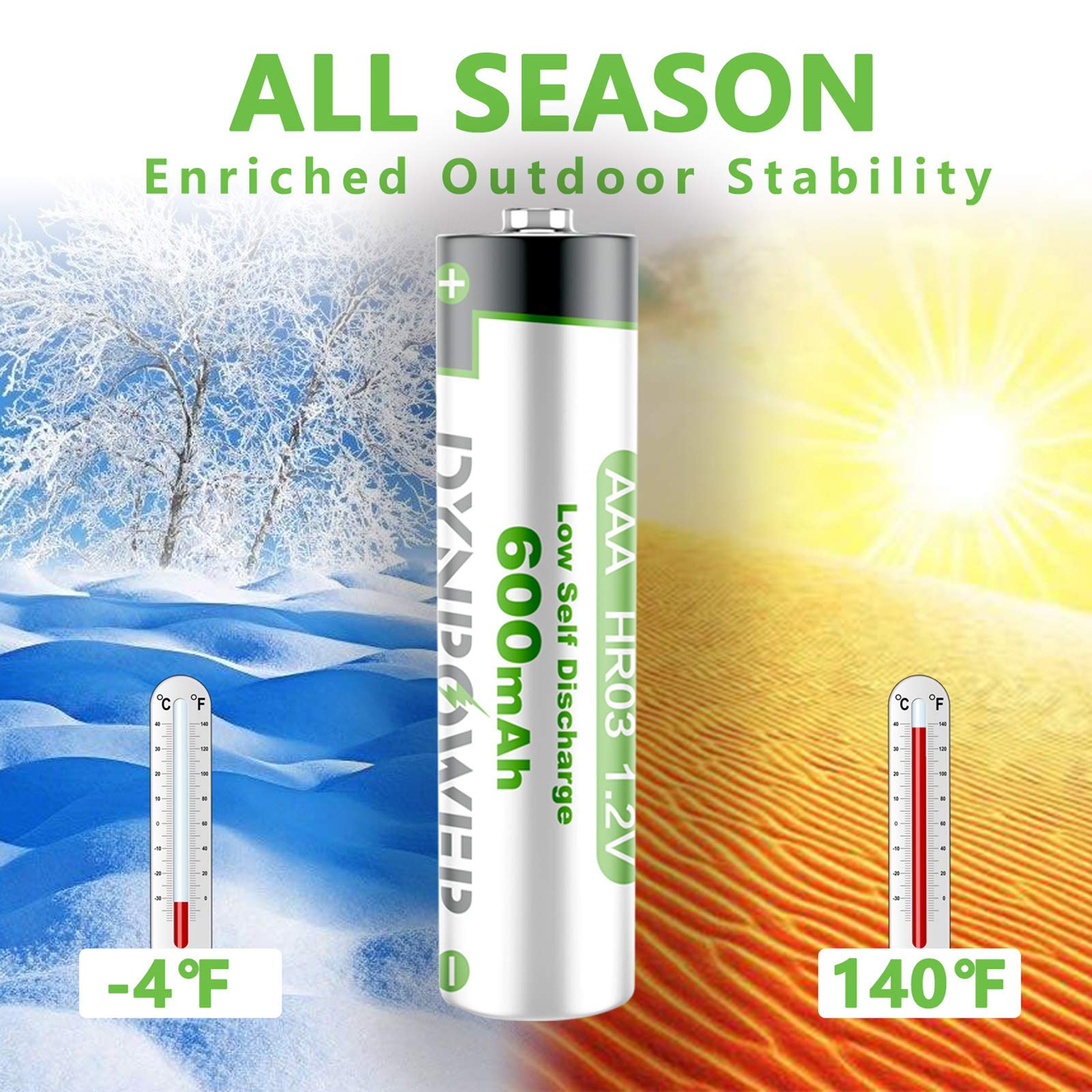 Dynpower NiMH AAA 600mAh Rechargeable Batteries 1.2V,Pre-Charged Triple A for Outdoor Solar Lights Garden Light and Household Devices, (Pack of 12)