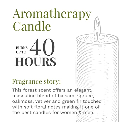 Candle-Lite Everyday Scented Balsam Forest 3-Wick Jar Candle, 10 oz, Green