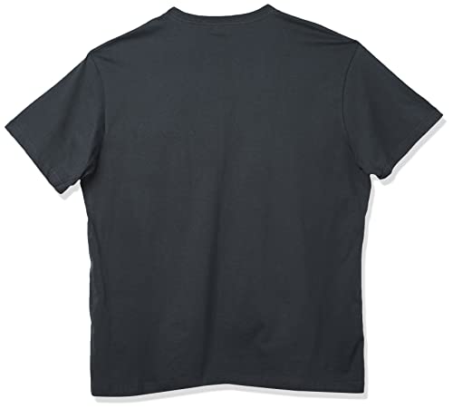 Dickies mens Short-sleeve Pocket T-shirt fashion t shirts, Charcoal, 4X-Large US