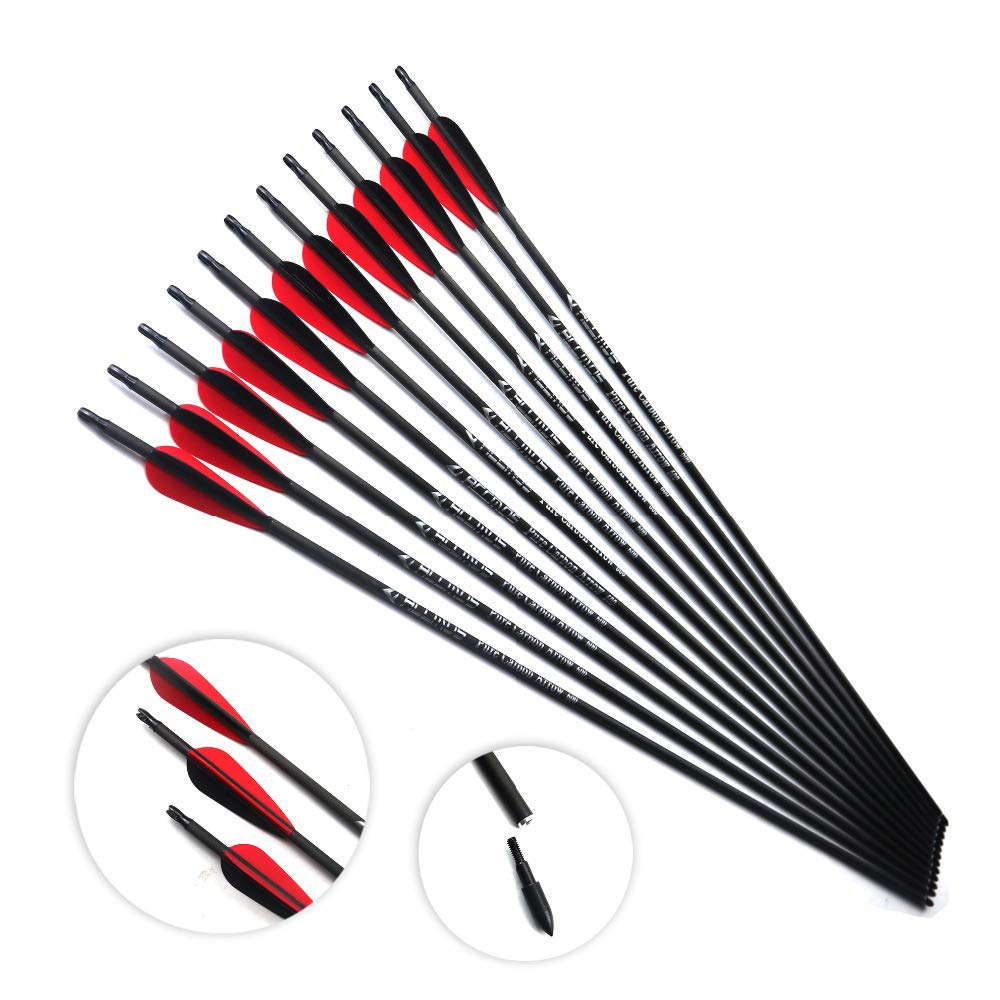 31" Arrows 800 Spine Arrows for Compound Bows ID 6.2 mm 28.5/29/30 Inch Replaceable Tip Carbon Arrow for 10/15/20/25/30/35/40 Lbs Recurve Bow Longbow Archery Hunting Target Practice