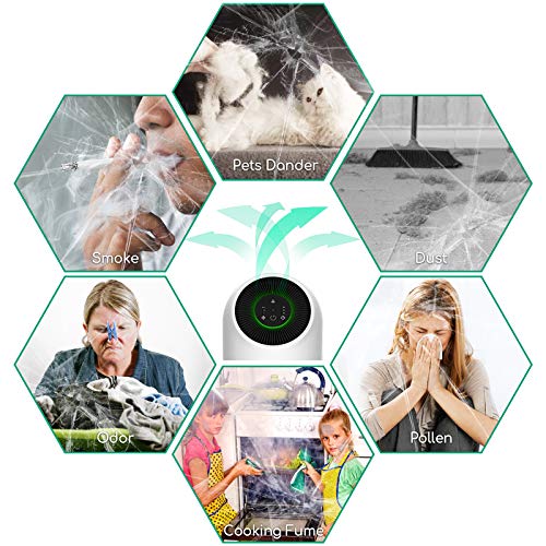 Afloia Air Purifier for Home Large Room H13 True HEPA Filter Air Cleaner with 24db Sleep Mode Remove 99.99% of Dust, Pet Dander, Pollen for Office, Bedroom, Fillo White