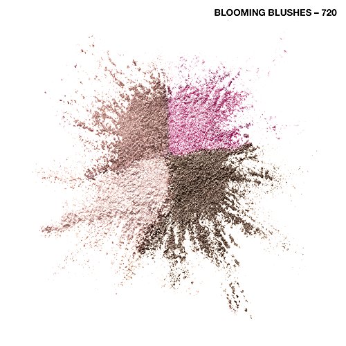 COVERGIRL Eye Shadow Quads Blooming Blushes Pencil 720, .06 oz (packaging may vary),