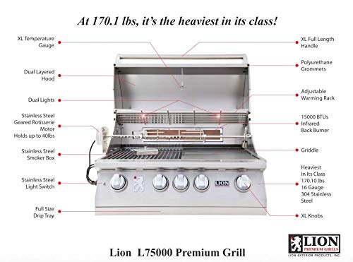 AMS Fireplace Lion | 32" Grill Package with 33" Double Access Doors & Refrigerator | Propane