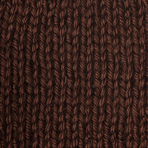 Caron Simply Soft Solids Yarn, 6oz, Gauge 4 Medium, 100% Acrylic, Chocolate - Machine Wash & Dry (H970039750)