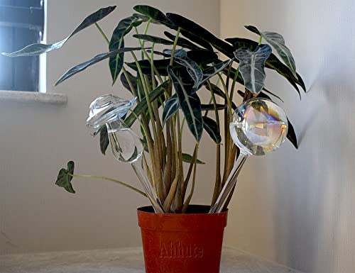 Ahhute 3 Pack Plant Watering Globes - Iridescent Rainbow Gradient Color Glass Watering Globes - Watering Bulbs for Outdoor Plants Indoor Plants - Plant Self Watering Devices