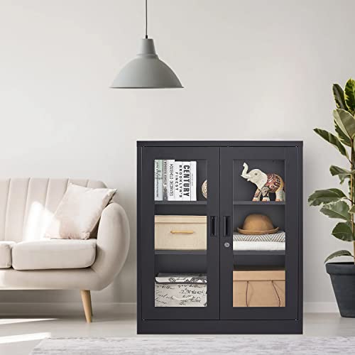Anxxsu Metal Storage Cabinet with Glass Door, Locking Display Storage Cabinet with 2 Glass Doors and 2 Adjustable Shelves for Home, Office, Bedroom Storage (Black)
