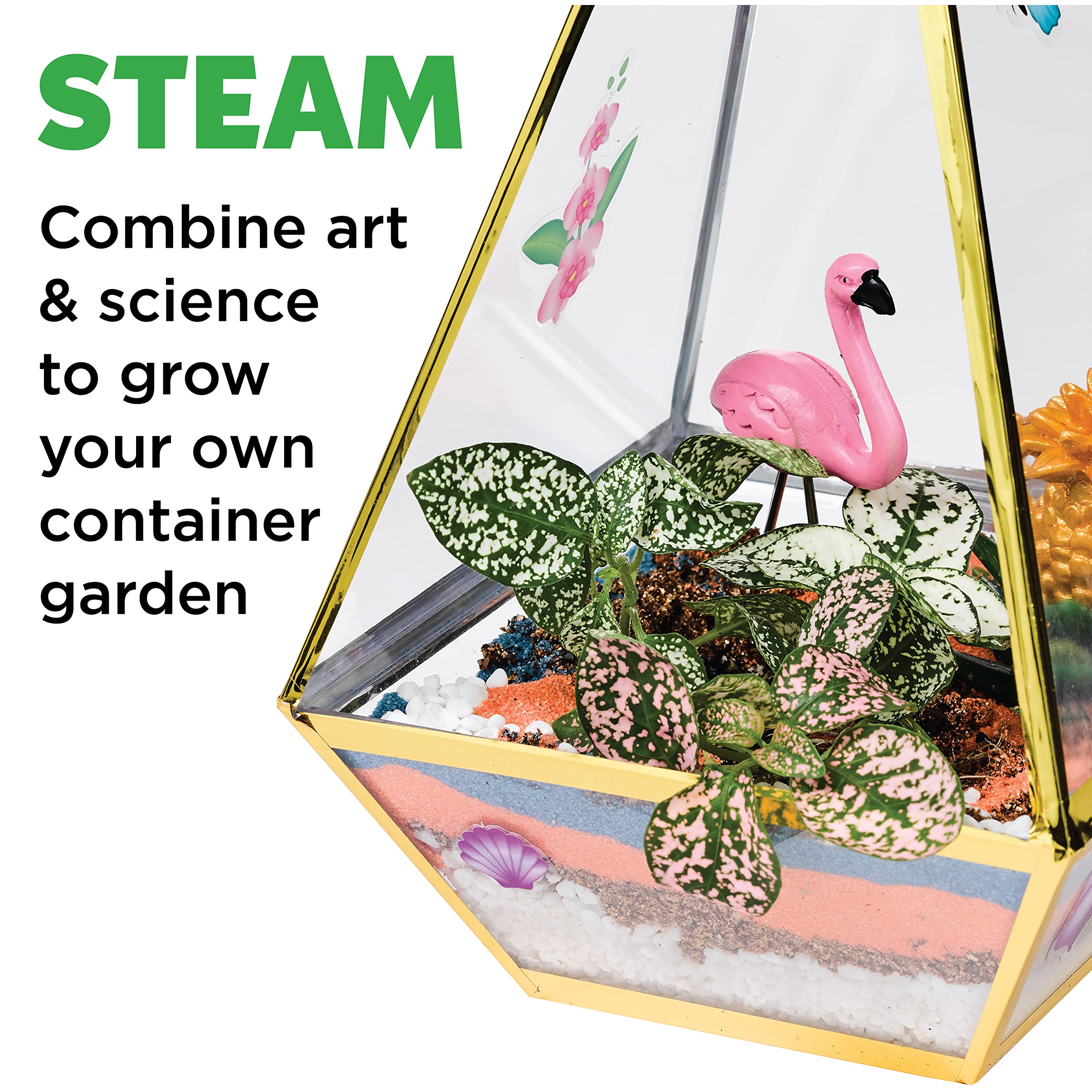 Creativity for Kids Tropical Terrarium Craft Kit - Kids Terrarium Kit for Ages 7+, STEAM Activity