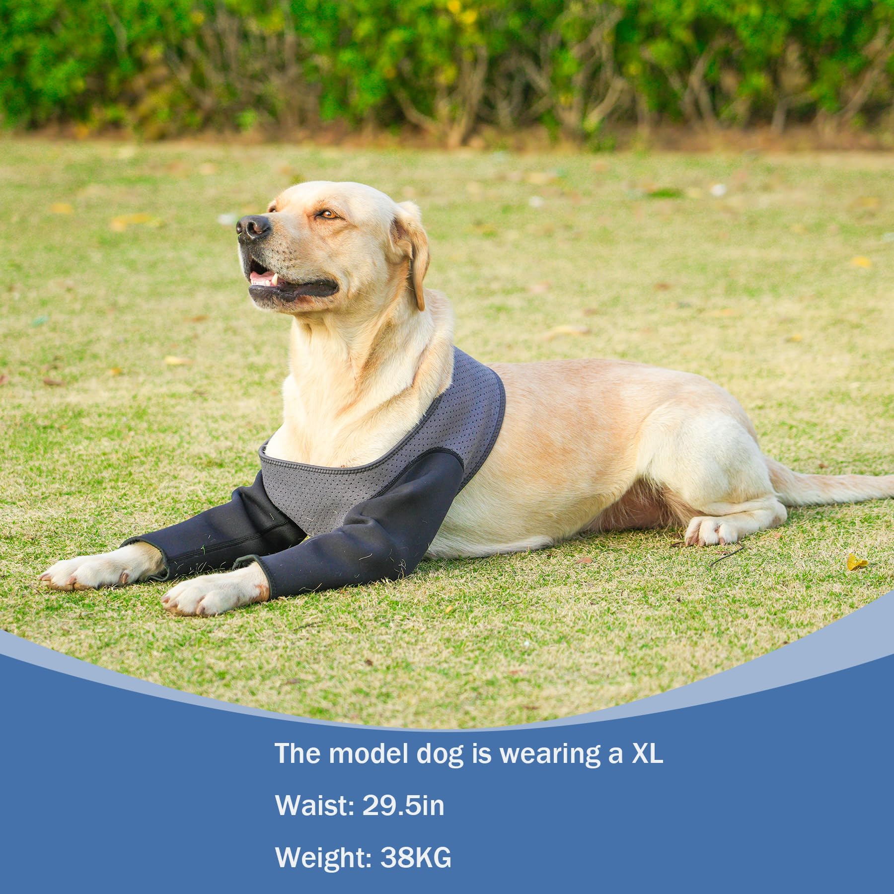 Dog Sleeves for Wounds Both Front Legs,Cone Collar Alternative, Abrasion Resistant Dog Recovery Sleeve, Washable 2.5mm Thick and Waterproof, Breathable Pet Wounds Prevent Licking, Bite Grey (Large)