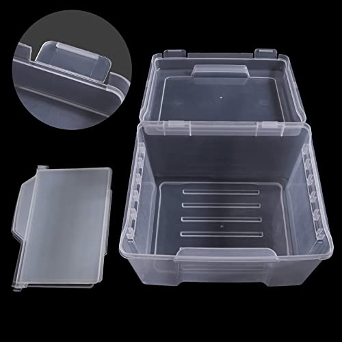 Greeting Card Organizer with Dividers
