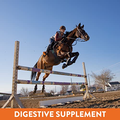 MagnaGard Plus- Gastric Support Supplement for Horses with Omega 3s | Relieves Ulcers, Calming Supplement, Magnesium & Other Vital Minerals | Powder, 20lb Bucket, 5-Month Supply | by Eagle Equine