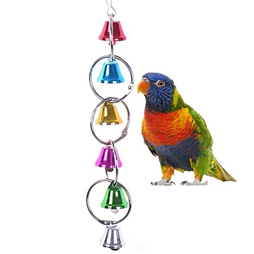 Hypeety Bird Parrot Conure Cockatoo Macaw African Grey Amazon Budgie Parakeet Cockatiel Lovebird Finch Cage for Bird Bells Toy