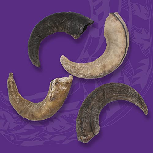 Icelandic+ Plus Large Lamb Horn Dog Chew