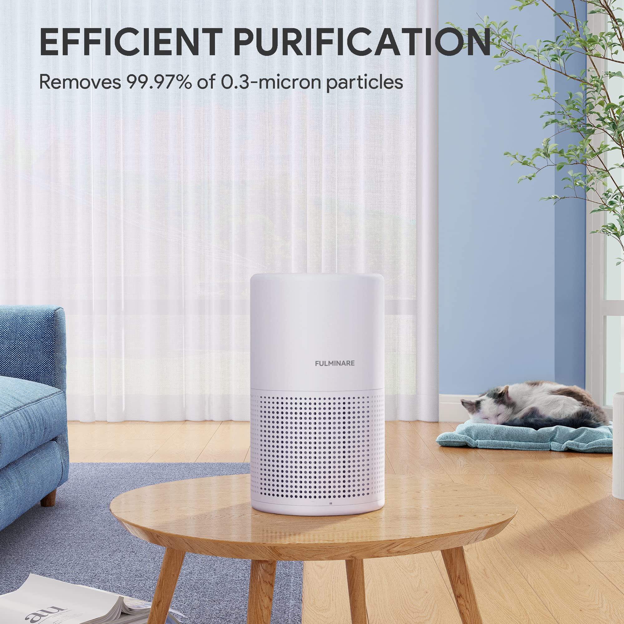 Air Purifiers for Bedroom, FULMINARE H13 Small Air Purifiers for Home Pets with HEPA Air Filter, Quiet Air Cleaner With Night Light, Remove 99.97% 0.01 Microns Dust, Smoke, Pollen