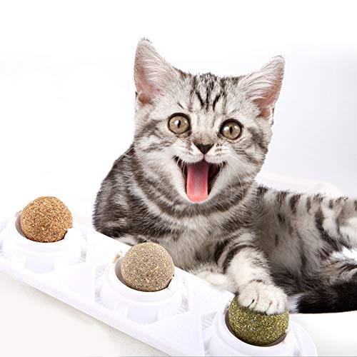WoLover Catnip Wall Ball Toys – Rotatable Cat Snack Edible Balls with Natural Healthy Catnip | Silvervine | Gall Nut, Kitten Playing Chewing Cleaning Teeth Toy