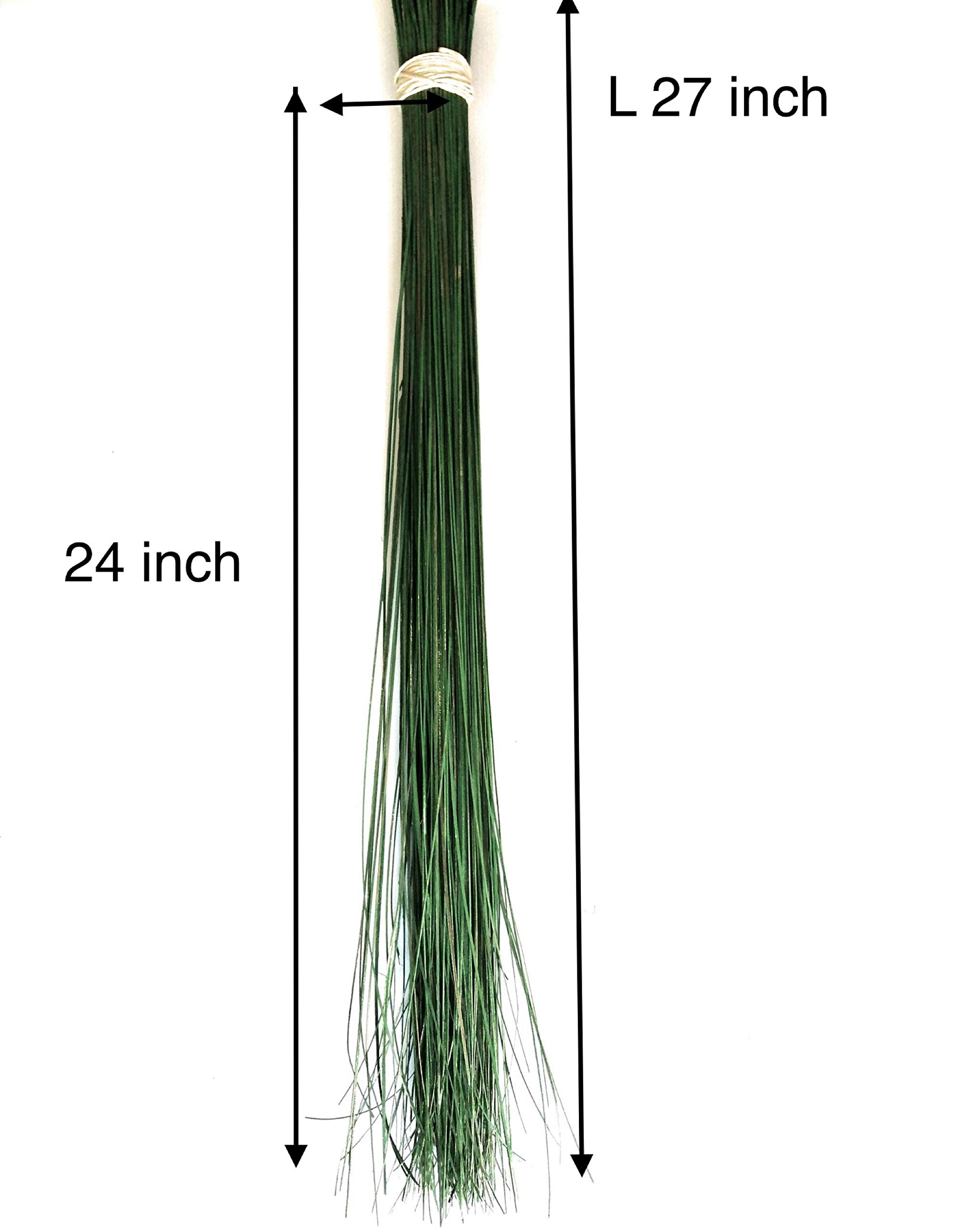 SN SKENNOVA - 1 Piece of 27-28-inch Colorful Asian Coconut leaf Broom Multi-Surface Sturdy Authentic Thai Natrual Broom (Green)