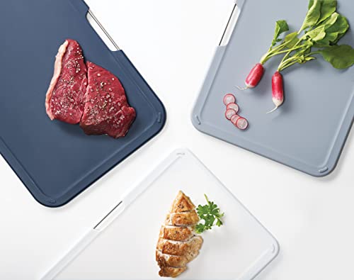 Joseph Joseph Nest Plastic Cutting Set with Storage Stand 3 Different Sized Boards, Large, Grey