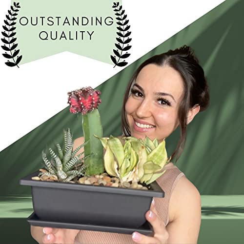 HäMO Bonsai Training Pots with Drainage Humidity Tray - Built in Mesh, 9 Inch Large Bonsai Tree Pot Planter, Set of 3 Bonsai Pots Set with Repotting Mat and 3 Mini Gardening Tools.
