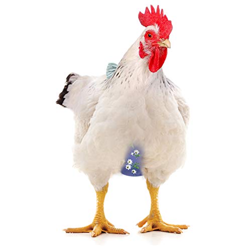 KAMA BRIDAL Chicken Diaper, Pet Diaper for Chook Duck Goose Adjustable Washable Reusable Diaper for Poultry 2 Pack