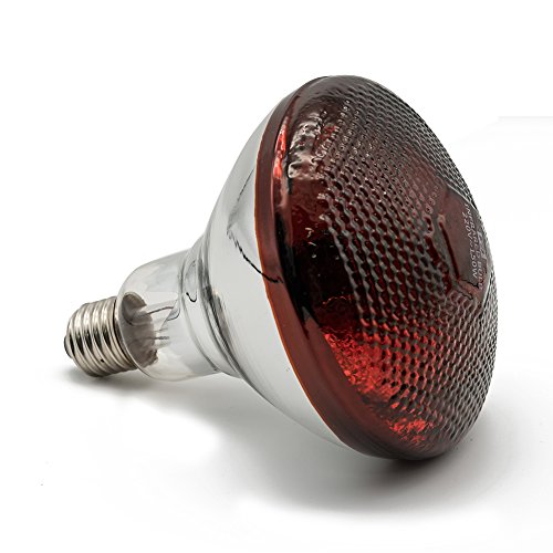 Fengrun Infrared Heat Lamp Waterproof Anti-Explosion Light Bulb for Piglet Chicken Duck Birds(150w,120v)