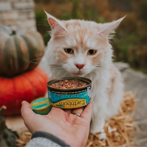 Earthborn Holistic Monterey Medley Grain-Free Moist Cat Food, Beige, 5.5 oz(pack of 24)