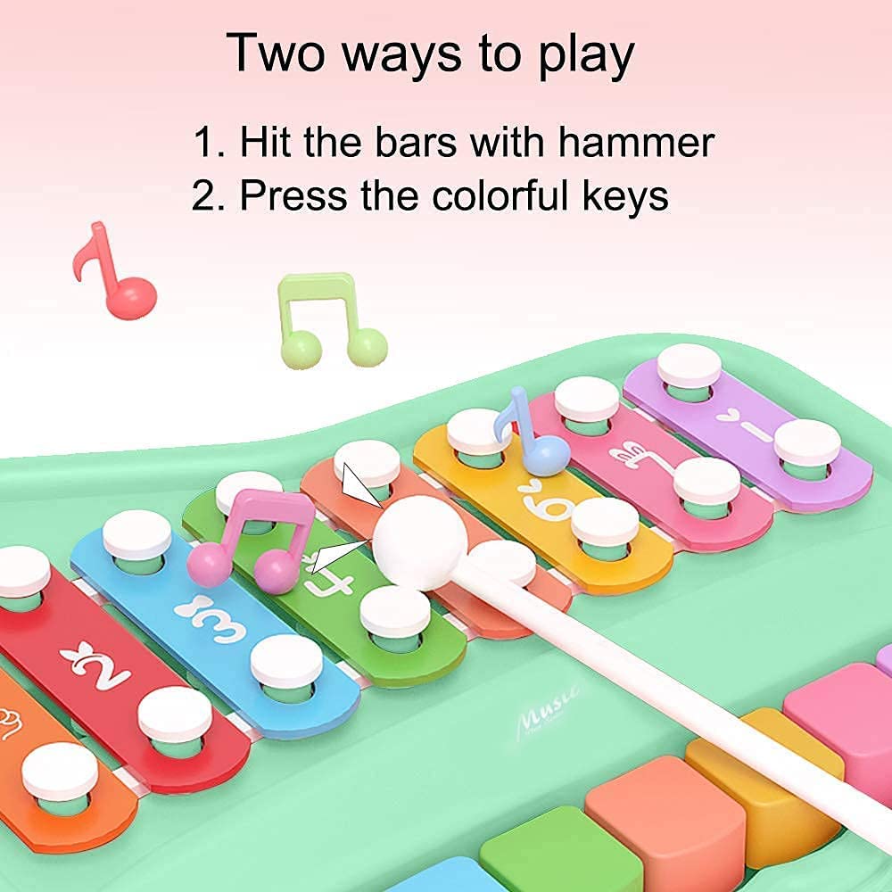 Cidupe Kids Piano Xylophone Musical Instruments Toys - 2 in 1 Percussion Instruments for Baby Preschool Educational with 8 Multicolor Key Scales Toy
