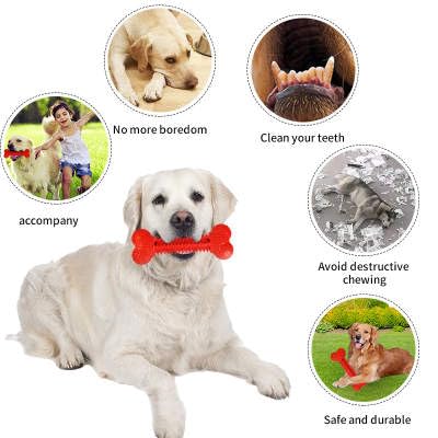 Teething Buddy: Dental Dog Chew Bone Toy for Puppies. (Green)