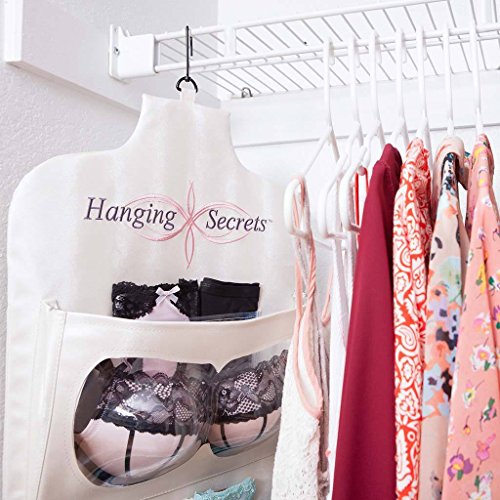 Hanging Secrets Bra Organizer & Lingerie Organizer Hanger + Protect + Showcase Your Bras with See-Thru Molded Bra Compartments Organizer Hangs Inside Closet or Over Door [White]