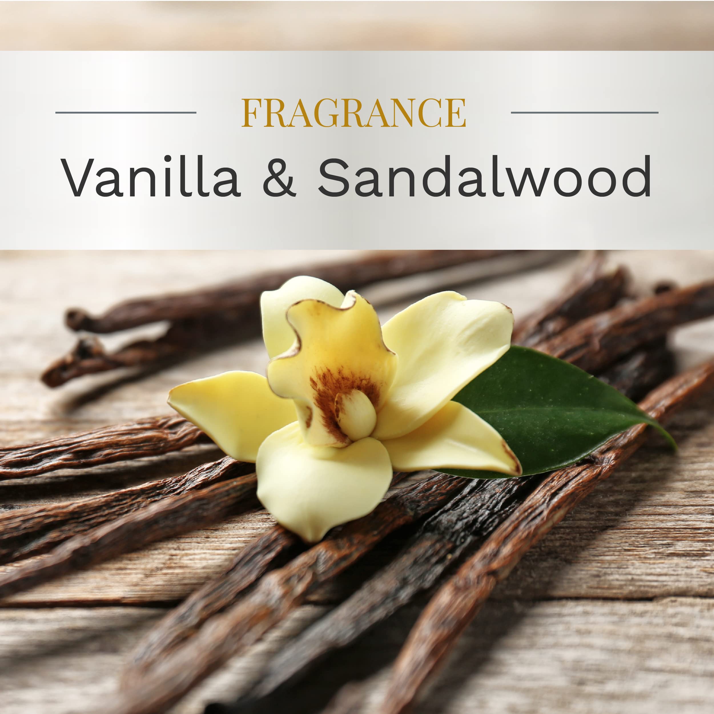 Essential Elements by Candle-lite Scented Candles, Vanilla & Sandalwood Fragrance, One 14.75 oz. Three-Wick Aromatherapy Candle with 45 Hours of Burn Time, Off-White Color