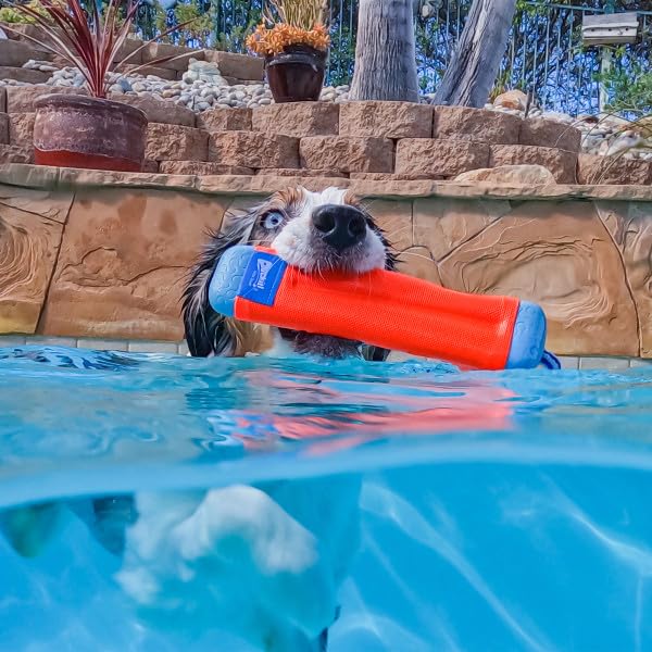 ChuckIt! Amphibious Bumper Fetch and Float Dog Toy, Medium (Colors Vary)