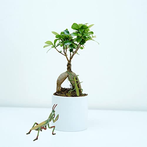 Fake Mantis Insect Figure Model: Plastic Praying Mantis Figurines Model Kit Insect Animal Prank Gifts for Table Decor Garden Animal Props 2Pcs