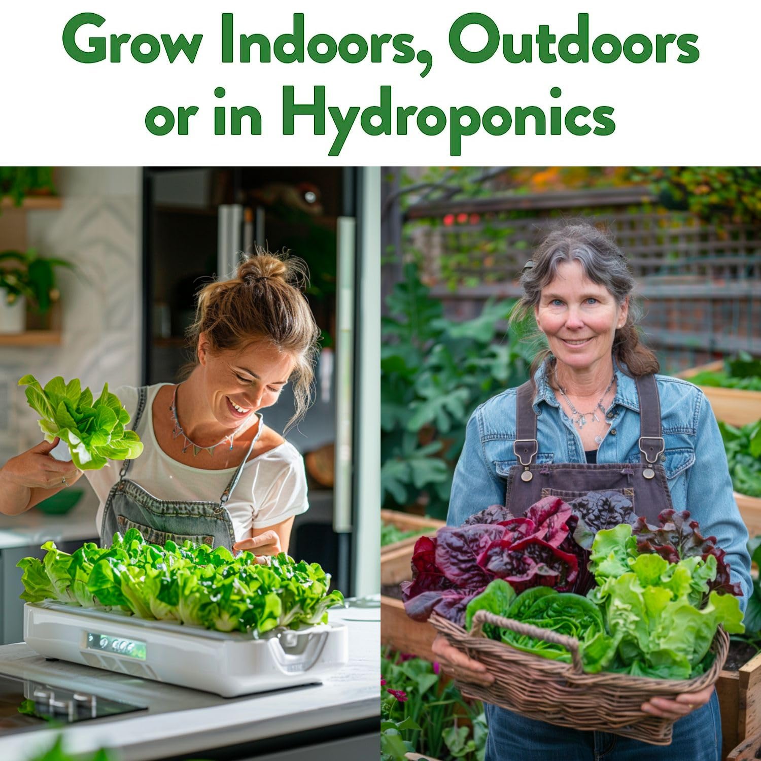 5,000+ Heirloom Lettuce Seeds for Planting Indoors - 95% Germination, Non-GMO Greens Seeds, (10 Varieties): Kale, Spinach, Butter, Romaine, Arugula & More - Lettuce Seeds for Hydroponic Home Garden