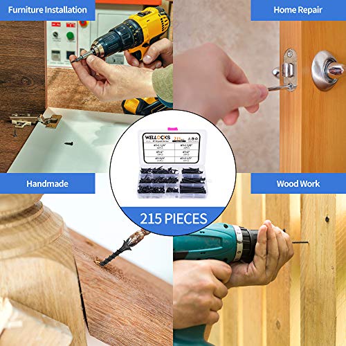 WELLOCKS Drywall Screws 230 Pcs #6×5/8" to 2-1/2" Wood Screws Assortment Kit Self Tapping Black Coating Bugle Head Coarse Phillips Sharp Point Fast Drilling for Wood Drywall Sheetrock (D158)