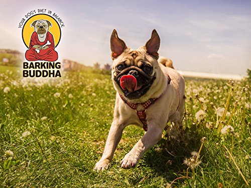 Barking Buddha Beef Cheek Slices | Premium Dog Chews | Extra Thick, All Natural, No Additives, Gluten Free | Peanut Butter - Small 5β-6β - 15 Pack