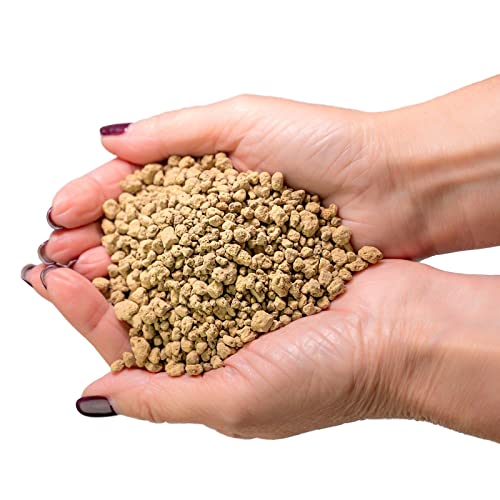 GARDENERA Japanese Hyuga Pumice - Premium Additive for Orchid & Bonsai Tree Soil |Professional Imported Sifted and Ready to Use (1 Quart Bag)