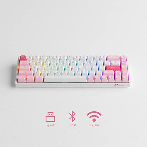 Akko 3068B Plus Prunus Lannesiana 65% Percent Hot Swappable Pink Mechanical Keyboard Wireless with Extra 90pcs Jelly Black Linear Switches, Wired/Bluetooth RGB Gaming Keyboard with PBT Keycaps