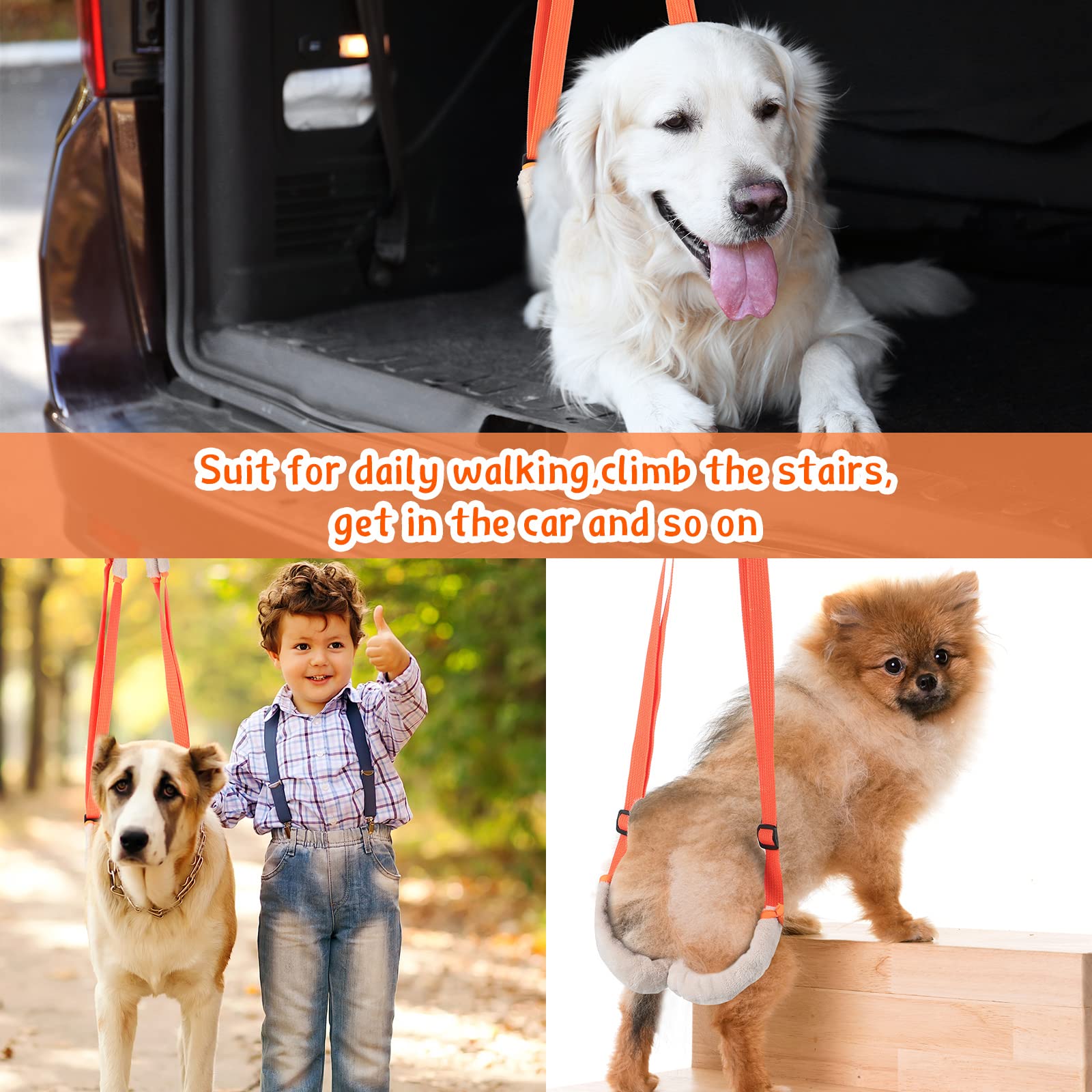 Mixweer 2 Pcs Dog Support Harness for Back Legs Dog Rear Lifting Sling Aid with Handle and Shoulder Strap Hind Leg Support for Pet Mobility Helps Dogs with Poor Stability Joint Injuries (Orange)