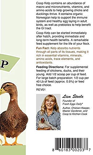 Fresh Eggs Daily Coop Kelp Organic Feed Supplement Vitamins for Backyard Chickens and Ducks 7LB