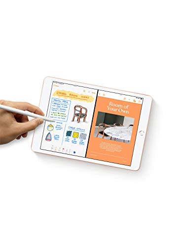 Apple iPad (10.2-inch, Wi-Fi, 128GB) - Space Gray (Previous Model)﻿