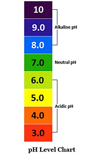 Digital Aid Professional pH Meter with Large Backlit LCD Screen. Range 0.00 to 14.0 pH. 3 Free pH Buffer Solution Powders Included. Lifetime Guarantee on this Accurate and Reliable pH Test Meter.