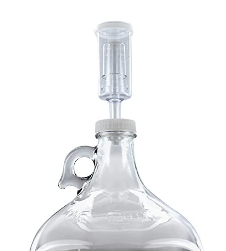 FastRack Glass Wine Fermenter Includes Airlock, 1 gallon Capacity, clear (B00BEYREIW), 1 Count (Pack of 1)