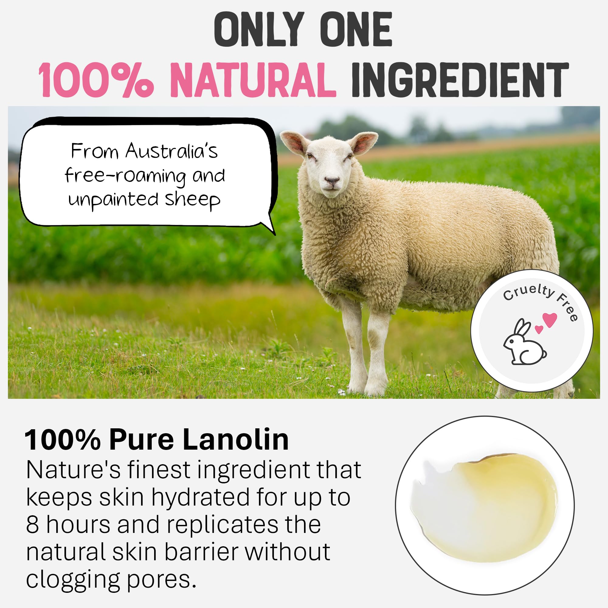 Dr. Lipp Original Nipple Balm 0.27 fl oz/8ml – 10-in-ONE Multi-Purpose Moisturizer for Dry Skin, Lips, Hair, Cuticles & More – 100% Natural Lanolin Nipple Cream & Lip Balm – Fragrance & Cruelty Free