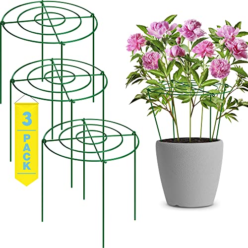 Peony Support, Peony Cage (3 Pack) Extra Large 18â Wide x 24â Height Peony Ring with 4 Legs, Plant Supports for Outdoor Plants, Peonies Cages