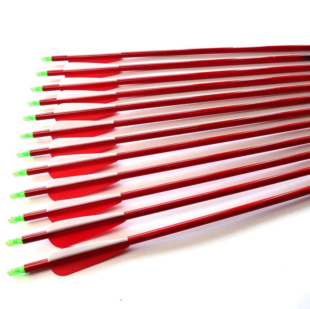 30" Carbon Arrows 700 Spine Archery Target Practice Hunting Arrow with Field Tips Removable for Compound Recurve Bow Longbow 12 Pack